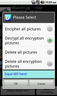 3.Check " Decrypt all encryption pictures